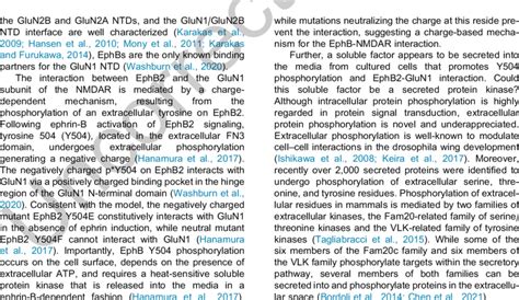 Models Of Ephb2 And Nmdar Interaction Domains Left Is An Alphafold Download Scientific Diagram