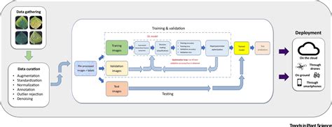 Deep Learning For Plant Stress Phenotyping Trends And Future
