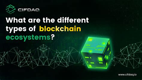 Cifdaq Overview Of The Revolutionary Blockchain Ai Ecosystem By Cifdaq Medium