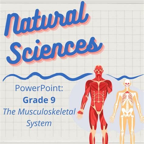 Grade CAPS The Musculoskeletal System Teacha