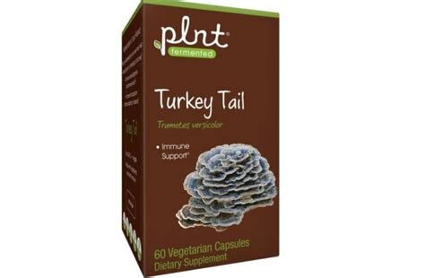 17 Best Turkey Tail Mushroom Supplements Orlando Magazine