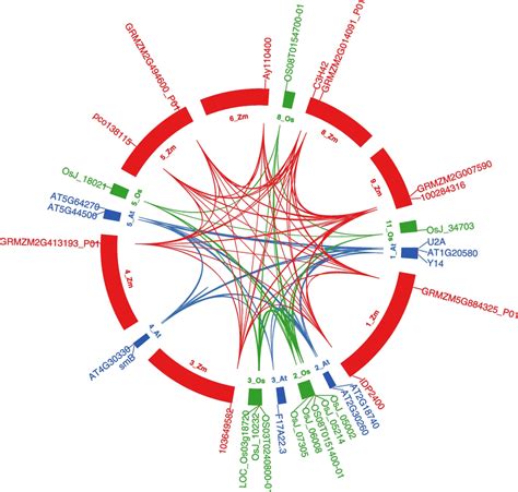 Protein Interacting Partners Of Arabidopsis Thaliana Oryza Sativa And