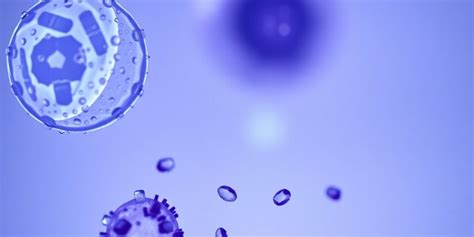 Biology Chapter Cell Structure And Function