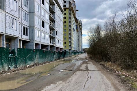 2021: Лосиный остров