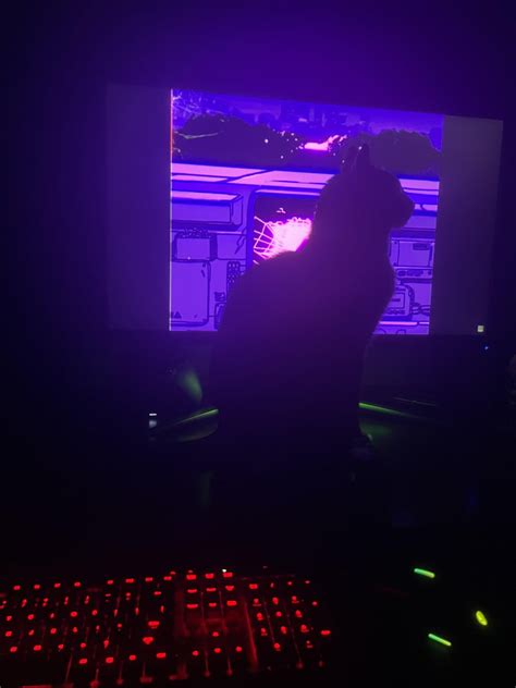 Masterrace Synthwave Kitty R Pcmasterrace