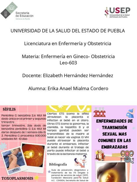 Tríptico Ets En El Embarazo 20240408 105025 0000 Pdf