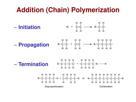 Chain End Polymerization At Sherlyn Weyer Blog