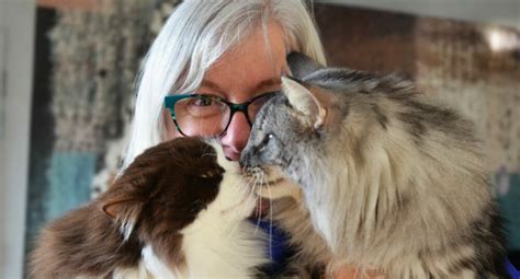 Marie Bourdon Expressions