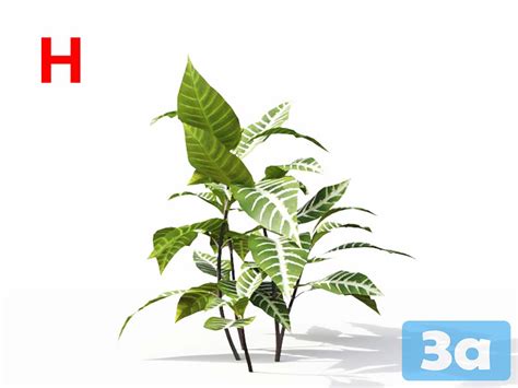 3d Tree Model In Sketchup High Quality 3d Model