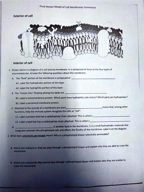 Solved Texts Fluid Mosaic Model Of Cell Membranes Homework Exterior