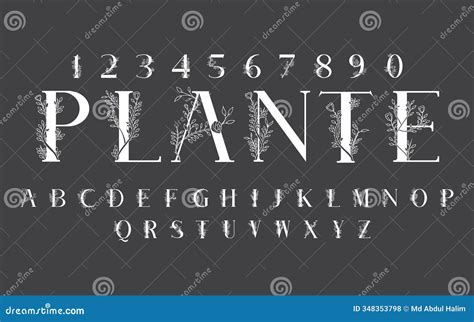 LCD Font Template For Fourteen Segment Display Vector Illustration CartoonDealer Com