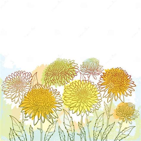 与概述翠菊花、华丽叶子和芽的传染媒介花束在桔子，绿色和黄色在织地不很细淡色背景 向量例证 插画 包括有 线性 线路 126192288