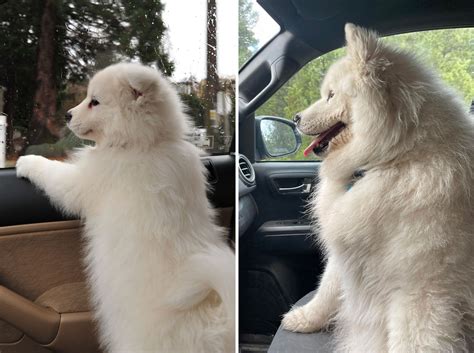 Through Jamie S Eyes