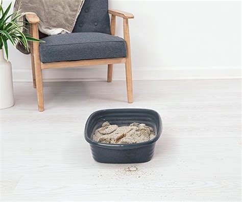Getting Started With Litter Robot 3 Litter Robot