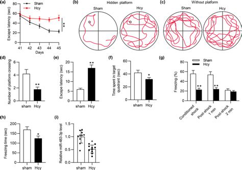 Mir‐483‐3p Is Downregulated In Hcy‐treated Rats A The Escape Latency