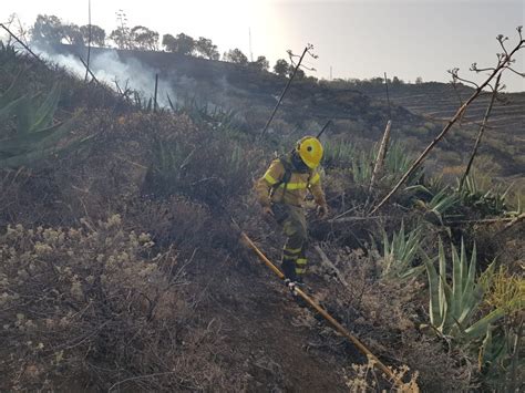 Han Ardido Más De 18500 Hectáreas En 2020 Un 63 Menos Que En 2019
