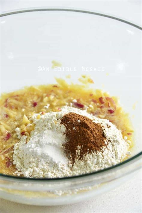 Baked Apple Doughnuts Recipe An Edible Mosaic™