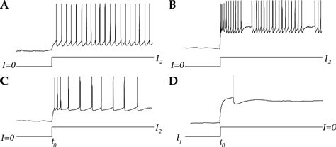 Figure 1 10 From Neuronal Dynamics From Single Neurons To Networks And Models Of Cognition