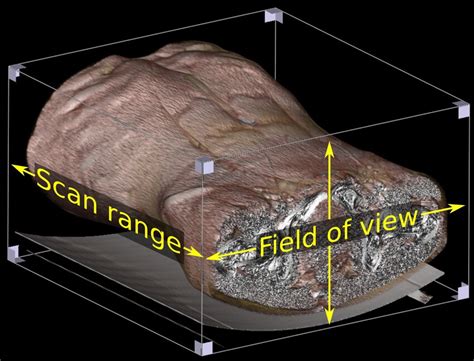 Tomography Execution And 3d Reconstruction Download Scientific Diagram