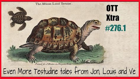 Ott Xtra 2761 Even More Testudine Tales From Jon Louis And Ve Youtube