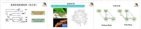 R语言piecewisesem结构方程模型在生态环境领域实践技术应用 知乎