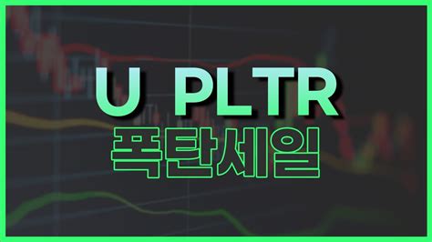 유니티 팔란티어 주식 저점 고점 전부 말씀드릴게요 Youtube