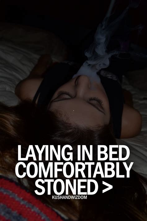 The Life Of A Nutter