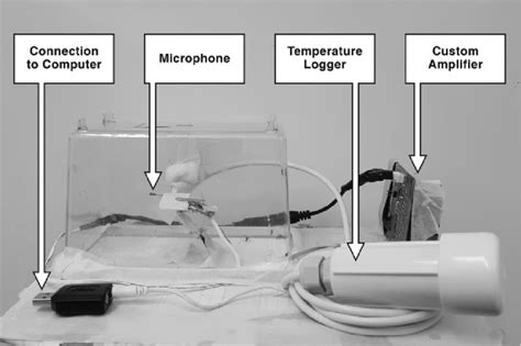 Acoustic Measuring Apparatus For All Free Flying Ae Aegypti Female
