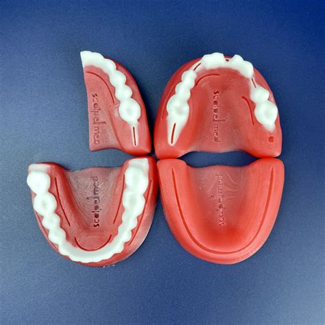 Scalpel Med Хирургический тренажер для наложения швов 3d симулятор челюсти человека