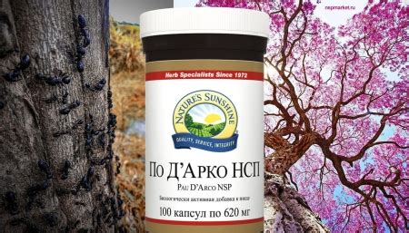 Дикий Ямс НСП инструкция применения. Дикий ямс нсп при климаксе и не только