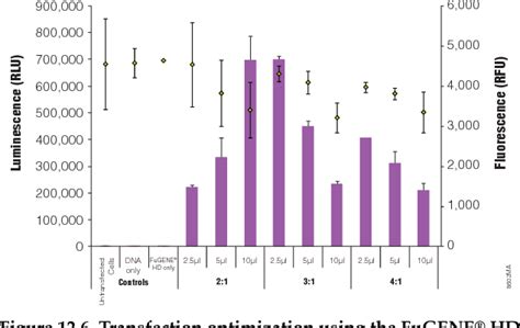 Figure From Transient Expression Versus Stable Transfection C Type Of Molecule