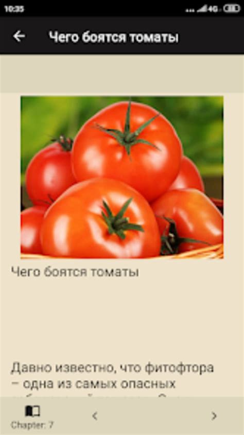 Выращивание помидор for Android - Download