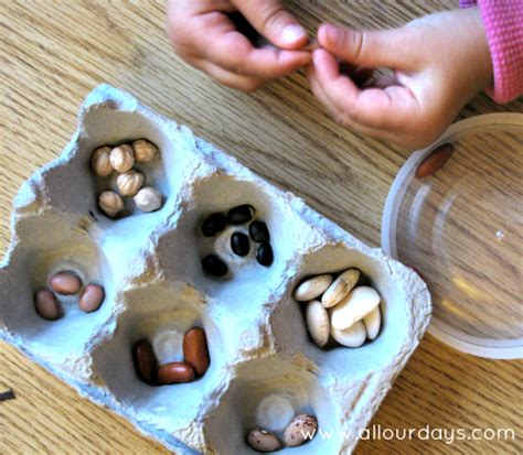 Classifying Sorting And Mathematical Thinking Play Based Learning