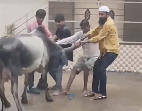 Prashant Patil On Linkedin Humanity And Unity Wins 👏👏👏👏 Great 👍🏼
