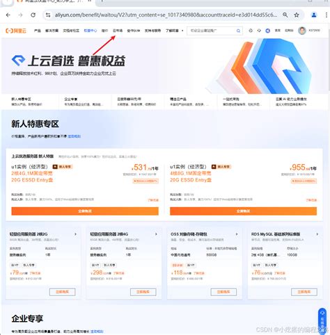 Springboot整合api接口做快递智能识别springboot 对接扣子 Csdn博客