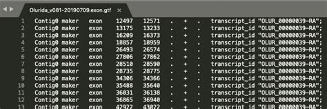 convert gff3 to gtf file format 56 off