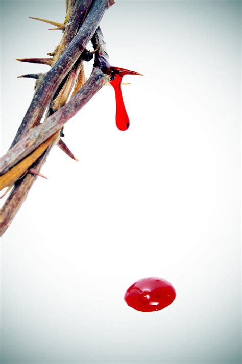 The Blood Of Jesus The Lord Toward The Mark 31