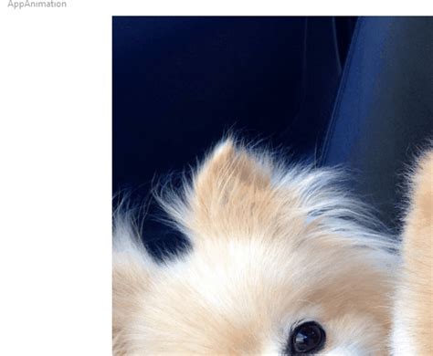 C How To Create An Animation For Stackpanel Stack Overflow