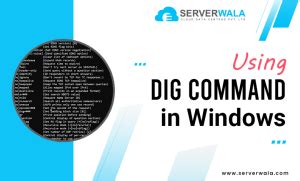 How To Install Dig On Windows Serverwala