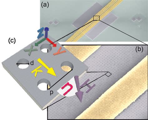 Color Online A And B Scanning Electron Microscope Image Of The Download Scientific