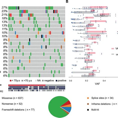 Somatic Nucleotide Level Mutations In Pik3ca Tp53 Kmt2c And Cdh1