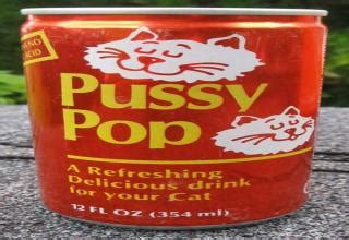 32 Photos For Those With A Dirty Mind EBaum S World