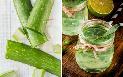 Salud Conozca Los Beneficios Y Propiedades Del Aloe Vera