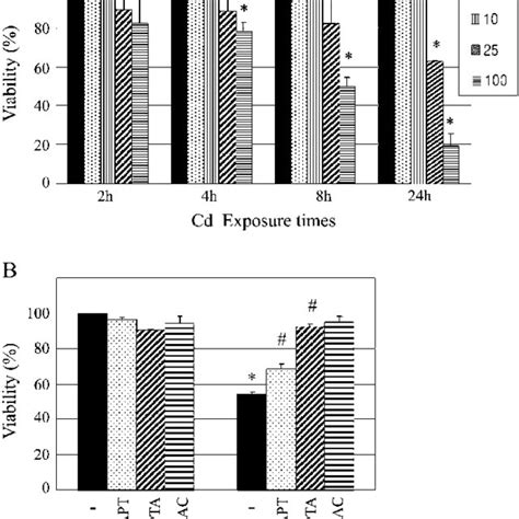 Effect Of Cd On T47d Cell Viability A After Treatment With Various