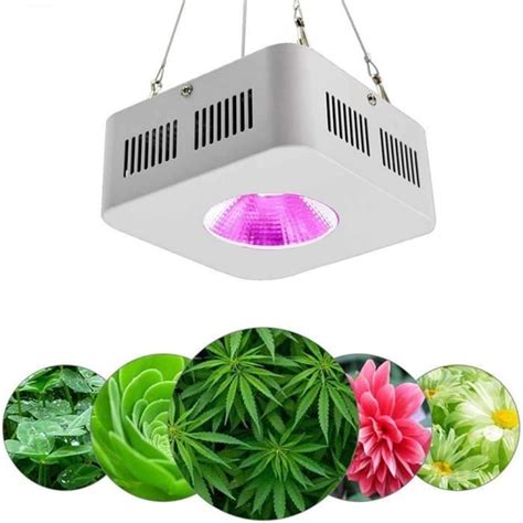 Nornward 200W Cob Led Lampe Pour Plante Lampe À Croissance Réglable À