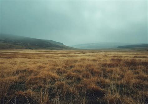 Premium Photo Bleak Moorland Landscape With A Group Of People Walking
