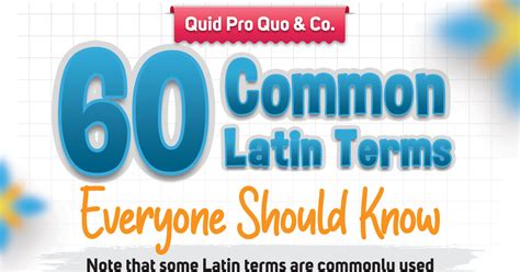 33 Commonly Misunderstood Words And Phrases Infographic
