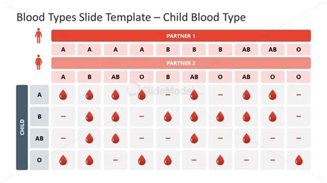 21904 01 Blood Types Powerpoint Template 16x9 2 Slidemodel
