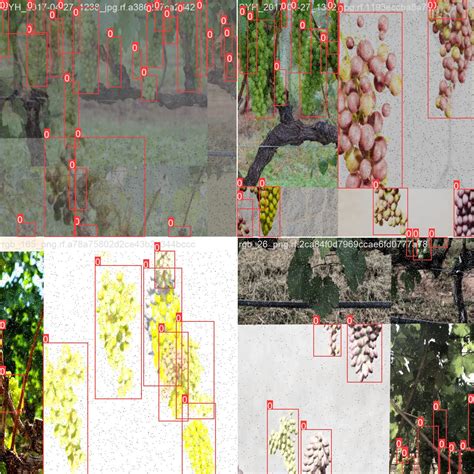 How To Use The Mixed5light Object Detection Api