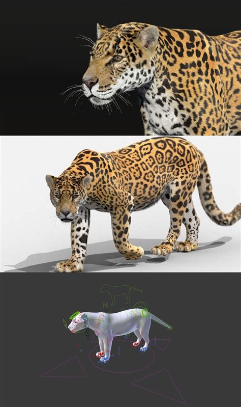 4071 Best Blender Model Images On Pholder Fivenightsatfreddys Blender And 3 Dmodeling